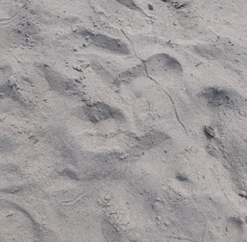 Sand is a Granular Material Composed of Finely Divided Mineral ...