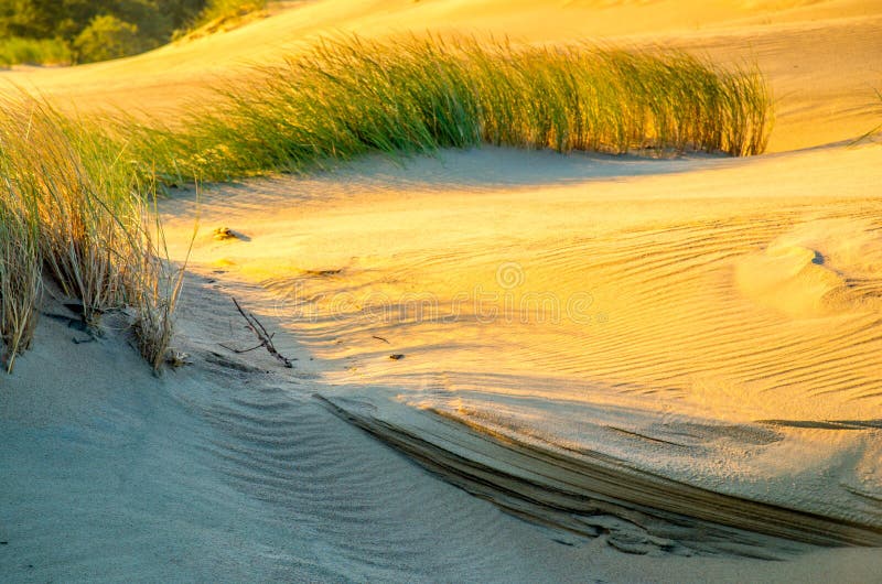 Sand & grass stock photo. Image of summer, spring, sand - 20138