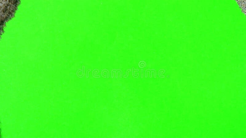 Sand Green Screen Stock Footage & Videos - 988 Stock Videos
