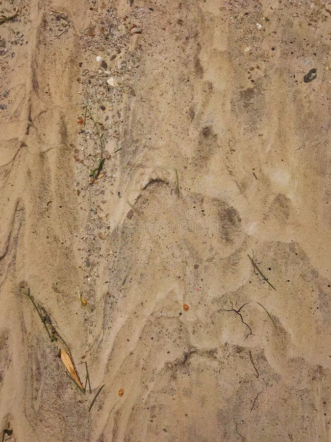 Textural Image of Sand in a Ditch Stock Image - Image of ditch, leaves ...