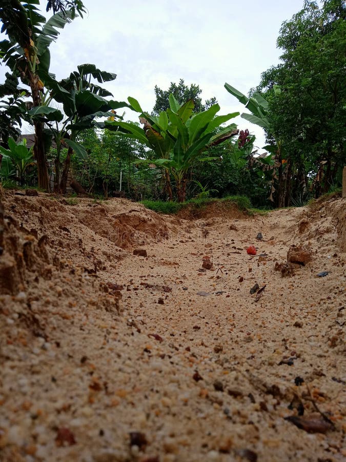 A Sand that Has Been Wet Due To Rain and There is a Green Landscape in ...