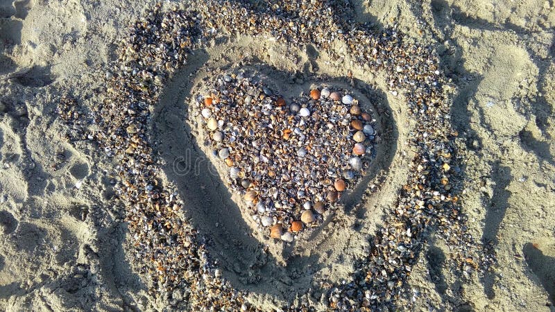 Sand heart with shells stock photo. Image of heart, animal - 269935882