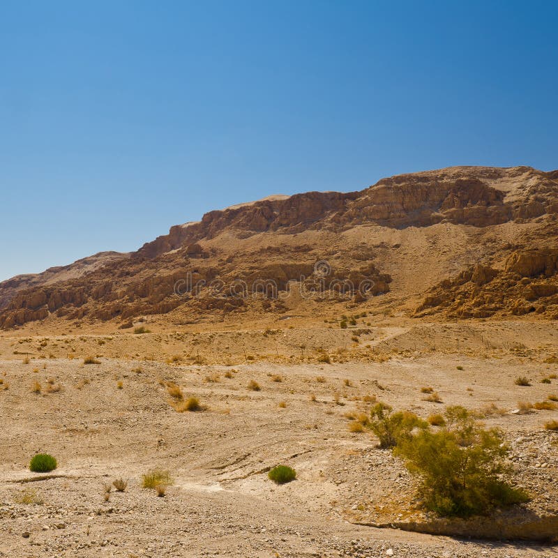 Sand Hills stock photo. Image of harsh, rock, erosion - 48577740