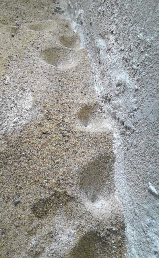 Sand holl sand insects stock image. Image of sandlife - 224287373