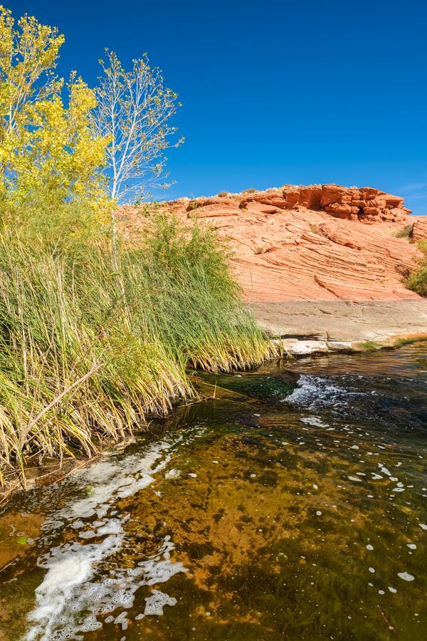 Sand Hollow State Park stock image. Image of coast, geology - 255469707