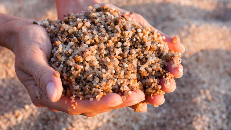 Sand in human hands stock photo. Image of sunlight, human - 62324206