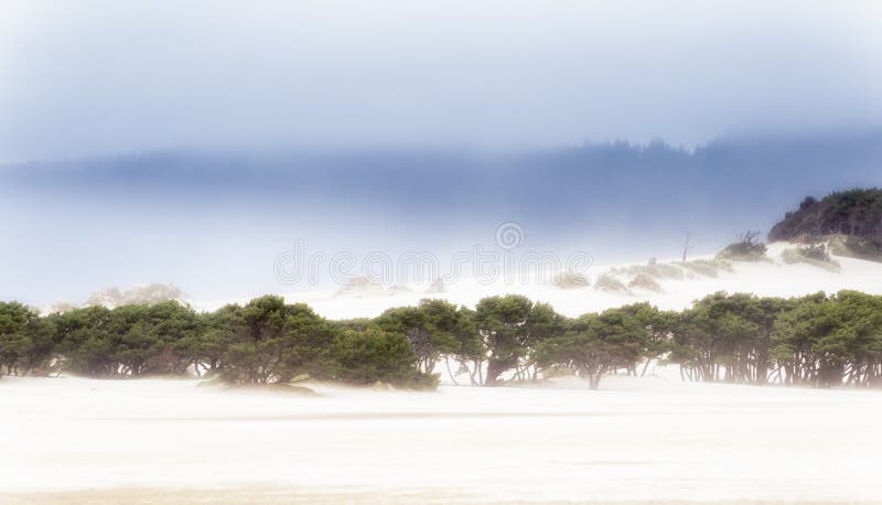 Sand Lake on the Oregon Coast Stock Image - Image of northwest, weather ...