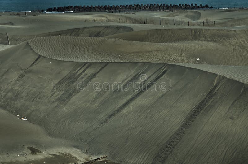 The Sand Landscape with Woods and Levees in Taiwan. Stock Image - Image ...