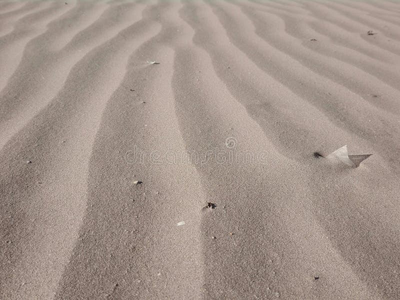 Sand stock image. Image of beach, travel, sand, life - 106740581
