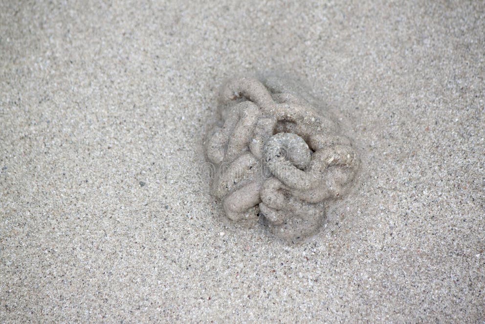 Nature of Stool Made on Sand Beach. Stock Photo - Image of sand, foot ...