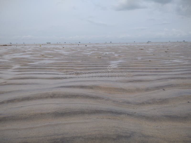 Sand Line in the beach stock photo. Image of soil, wood - 181565334