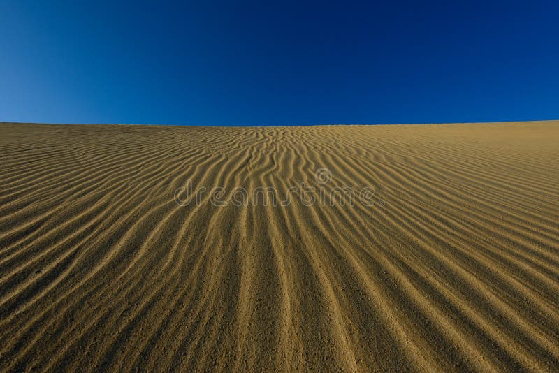 Sand Lines stock photo. Image of dune, parallel, sand - 36633912