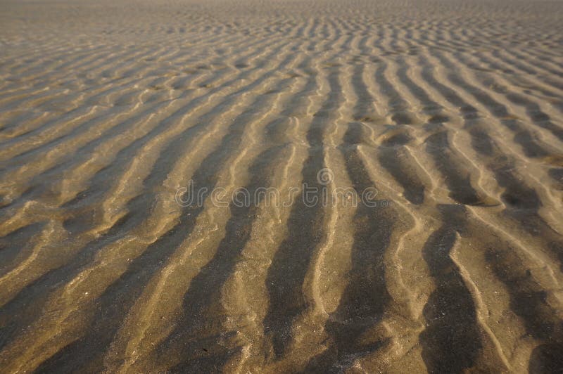 Sand lines stock photo. Image of outdoors, landscape - 74009474