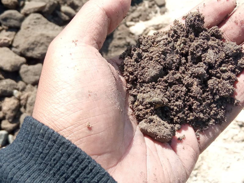 Sand with a Lot of Water Content is Suitable for Farming Stock Photo ...