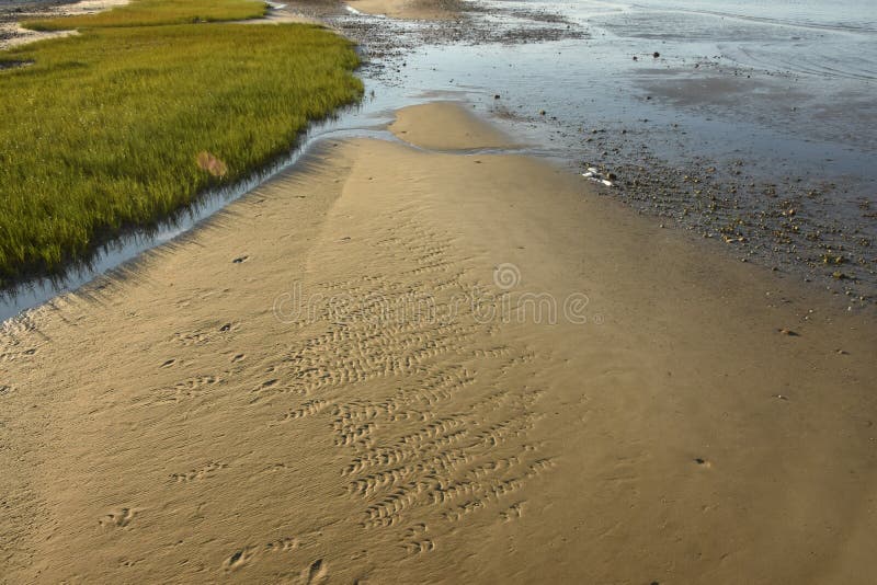 Sand and Marsh Grass on a Beach in Duxbury Stock Photo - Image of ...