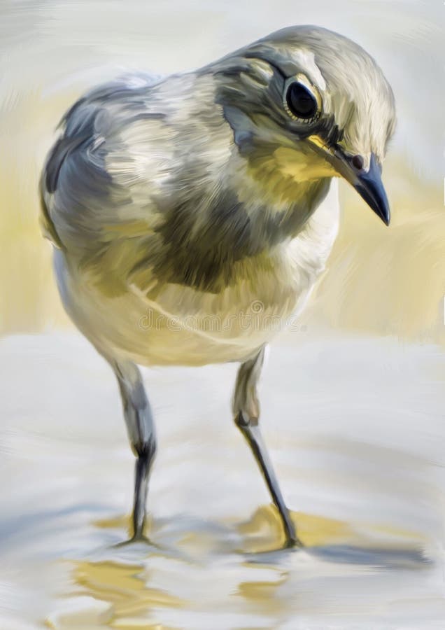 Sand Martin stock illustration. Illustration of fauna - 69066651