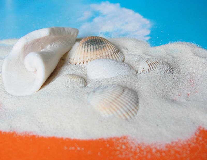 Sand mit Seeshell stockfoto. Bild von strand, tropisch - 20852826