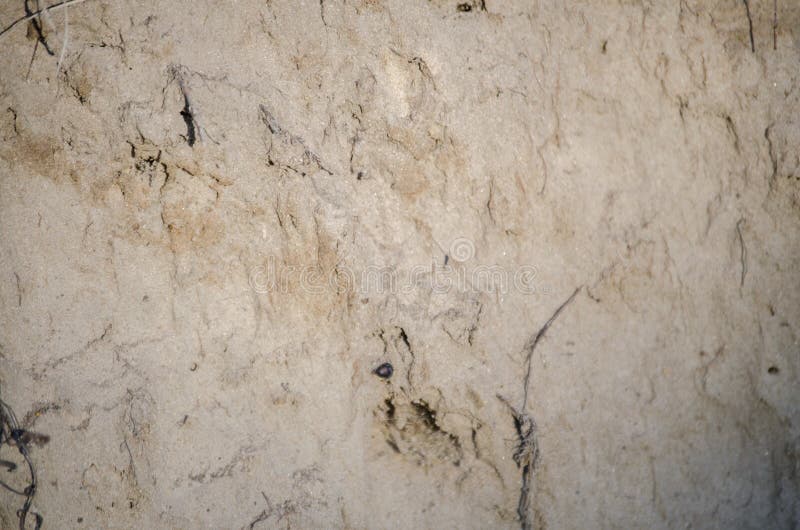 Sandy Mountain. Photo Background, Texture. Stock Photo - Image of ...