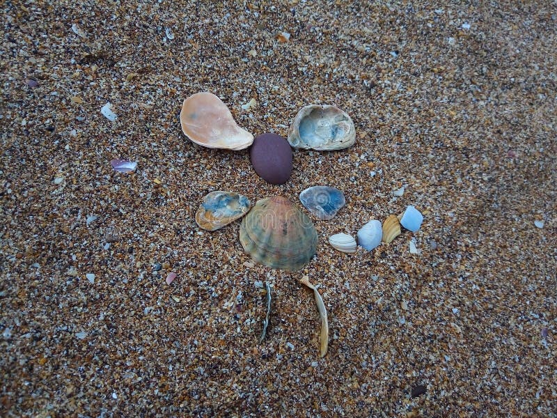 On the Sand, a Mouse Figure Made of Shells and Pebbles.the Concept of ...