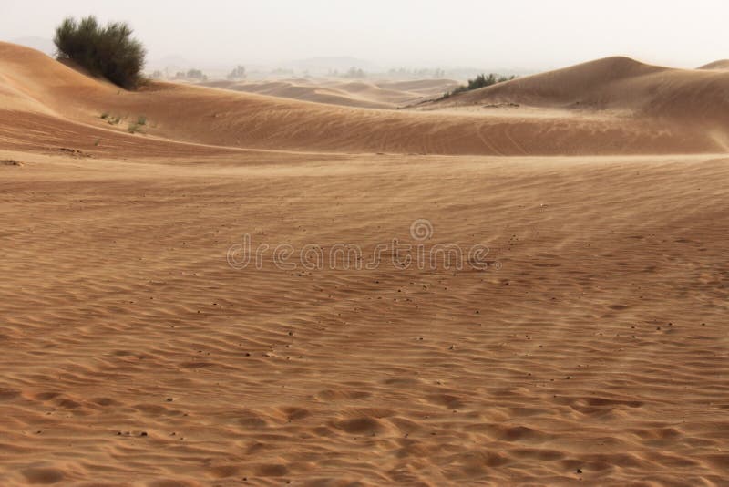 Sand Moving in Desert of UAE Stock Image - Image of afternoon, landmark ...