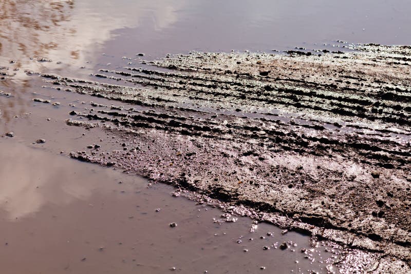 Sand and mud stock photo. Image of dune, bright, beach - 73791984