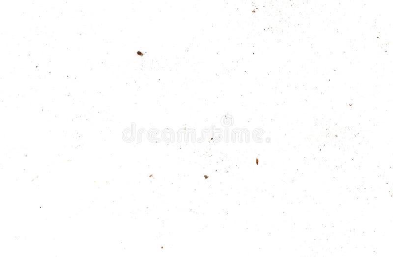 Sand and Mud Leftovers, Isolated on White Stock Image - Image of sand ...