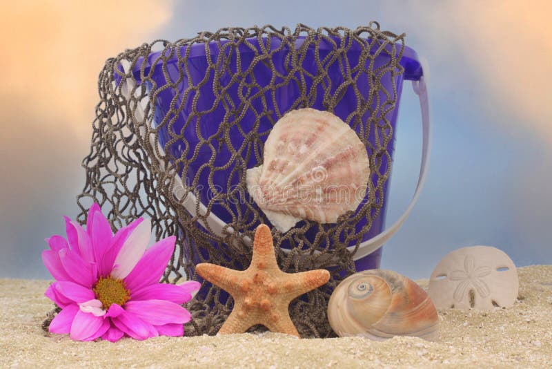 Sand Pail with Net and Sea Shells on Sand with Sky Background Stock ...
