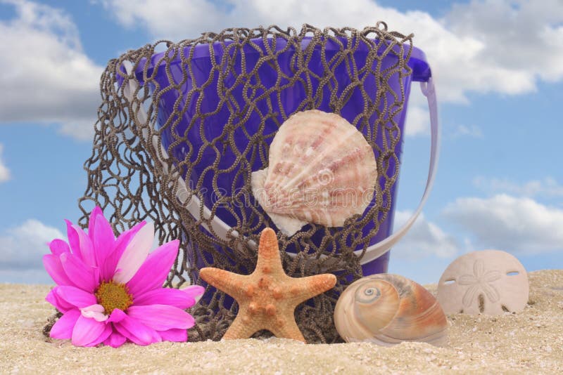 Sand Pail with Net and Sea Shells on Sand with Sky Background Stock ...