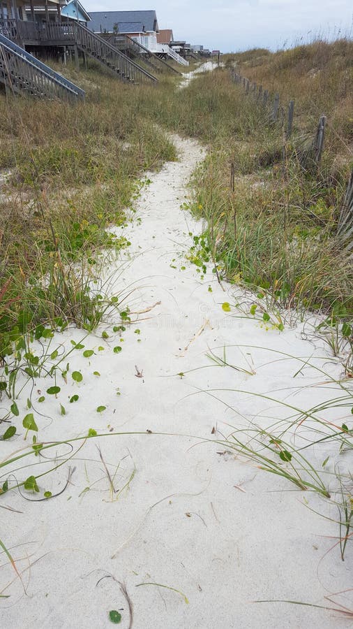 Sand Path at the beach stock photo. Image of path, sand - 61535978