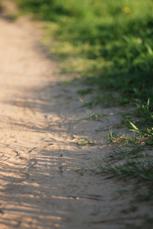Sand Path Going Though the Spring Meadow Full of Fresh Green Grass ...