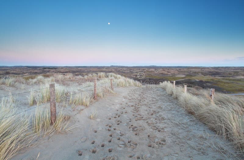 Sand path to dunes in dusk stock image. Image of full - 75685917