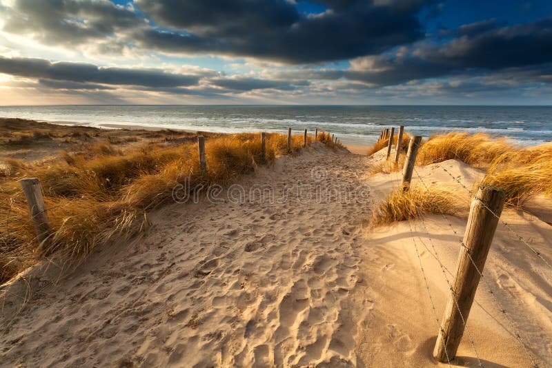 Sand Path To North Sea Beach Stock Image - Image of people, grass: 50638589