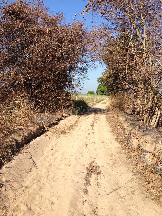 Sand path for trail stock photo. Image of barren, natural - 39476604