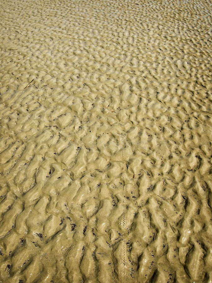 Sand Pattern stock image. Image of lines, landscape, nature - 16586023