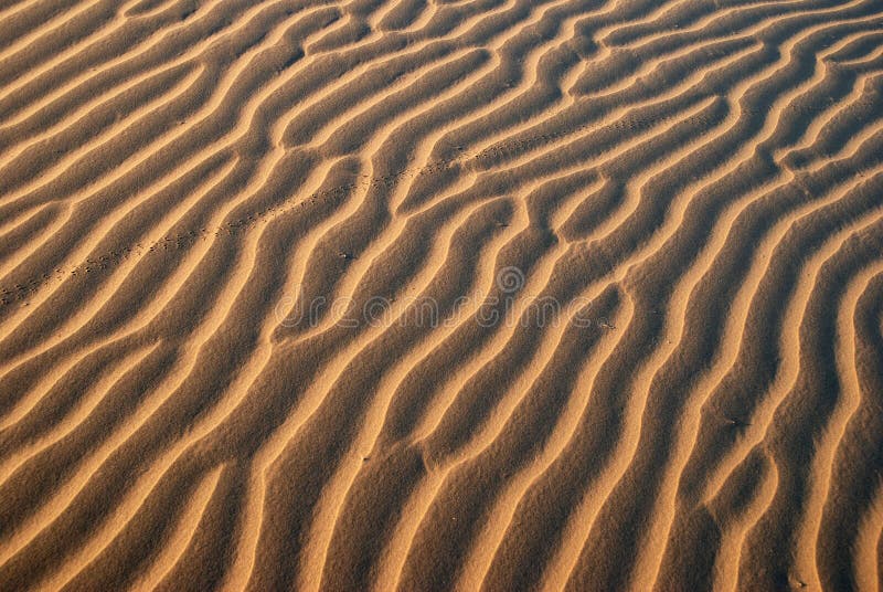 Sand Pattern stock photo. Image of lines, natural, texture - 7229192