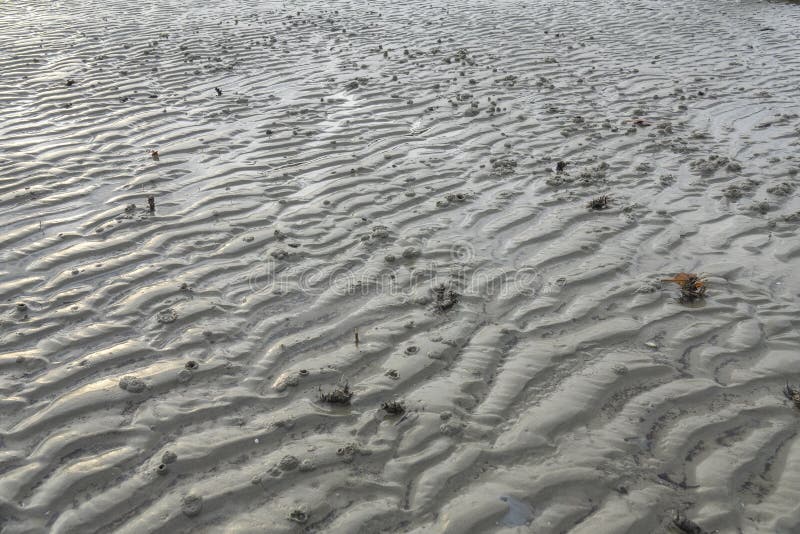 Sand Pattern of a Beach As Background. Nature Stock Image - Image of ...