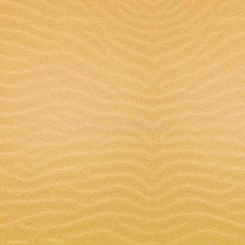 Sand pattern of a beach stock photo. Image of life, closeup - 32592364