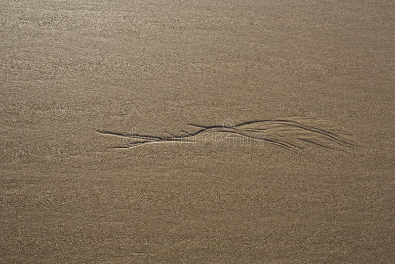 Sand patterns stock image. Image of beach, water, summer - 66534917