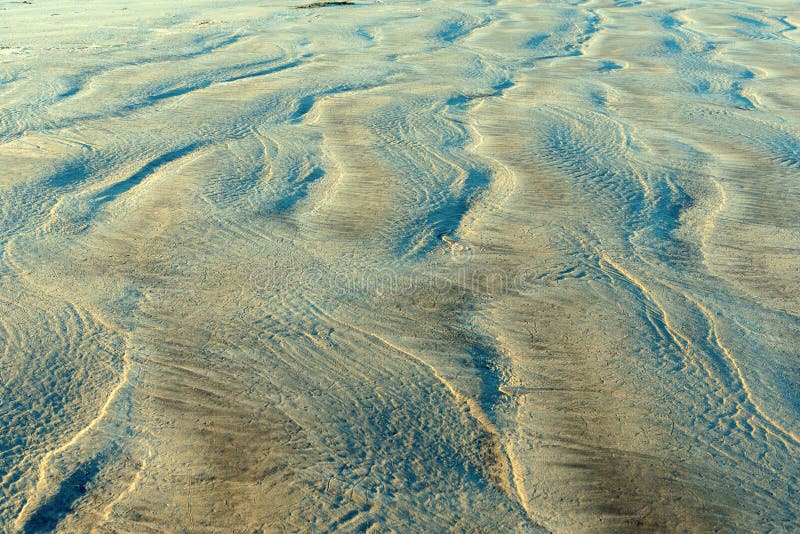 Sand Patterns on the Beach in Bayshore, Oregon, USA Stock Image - Image ...