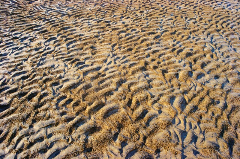 Sand patterns on the beach stock photo. Image of closeups - 348664394