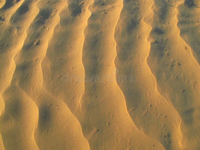 Sand Patterns in the Desert Stock Photo - Image of safari, contrast ...