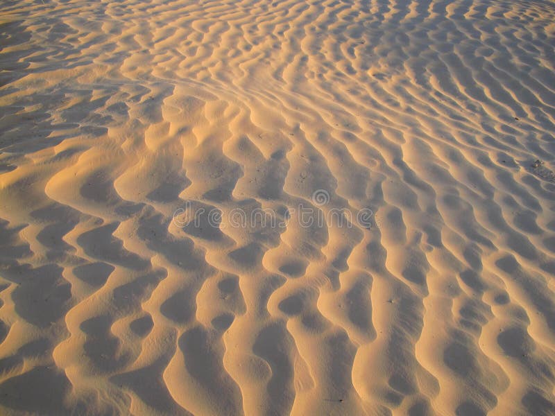 Sand Patterns In The Desert Stock Image - Image of safari, romance ...