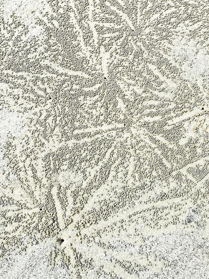 Sand patterns stock image. Image of crabs, patterns - 200600083