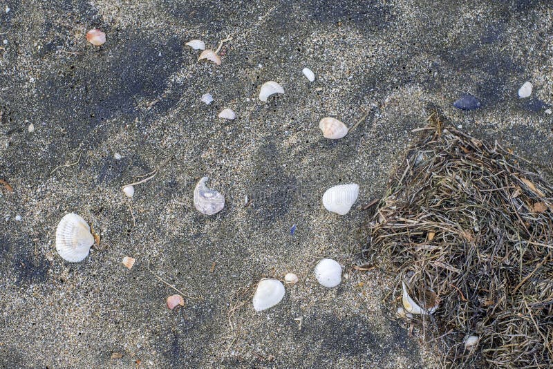 Sand and pebble texture 2 stock image. Image of stone - 90210507