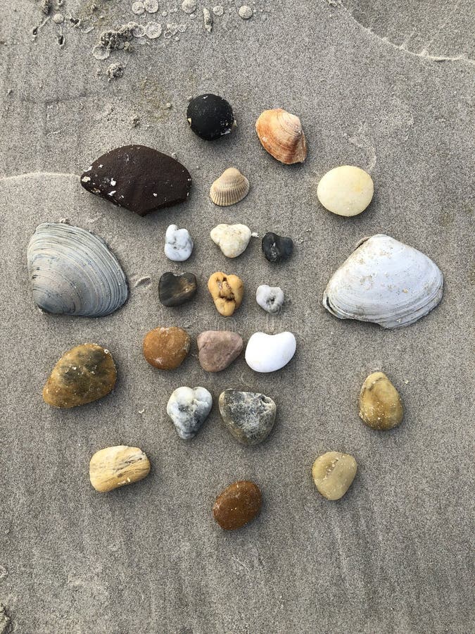 Rocks and Shells on Rockaway Beach Stock Photo - Image of sand, rocks ...