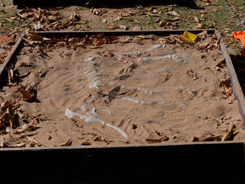 Sand Pit for Excavating Simulated Dinosaur Fossils in a Playground ...