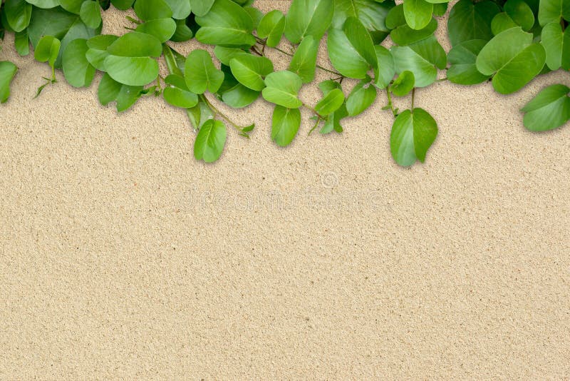 Beach sand grain stock image. Image of beach, texture - 27053227