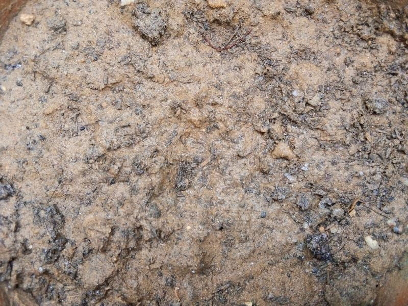 Sand in the pot close up stock photo. Image of tile - 197216260