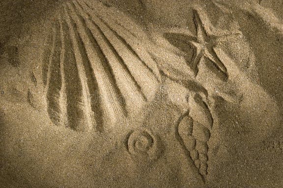 Sand print stock photo. Image of peaceful, beach, light - 18300818