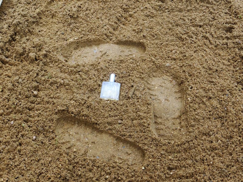 Marks on Wet, after a Rain the Sand. Stock Photo - Image of green ...